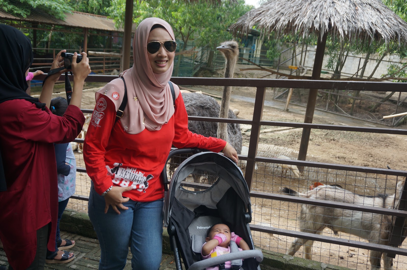 Ingin Bercuti di Mini Zoo Mesra Pengunjung? Kunjungilah Farm In The ...