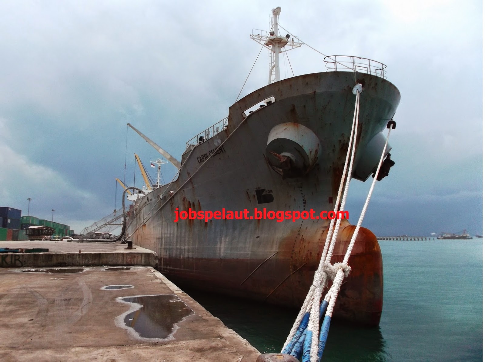 Chief Cook & 3/E Kapal Bulk Carrier Five Ocean Corporation | Loker ...