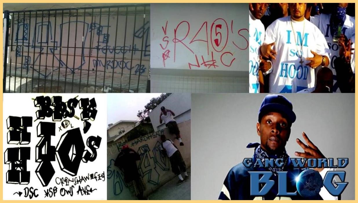 11 Kitchen Crips - GX8M JUSTIN WAGNER'S BLOG