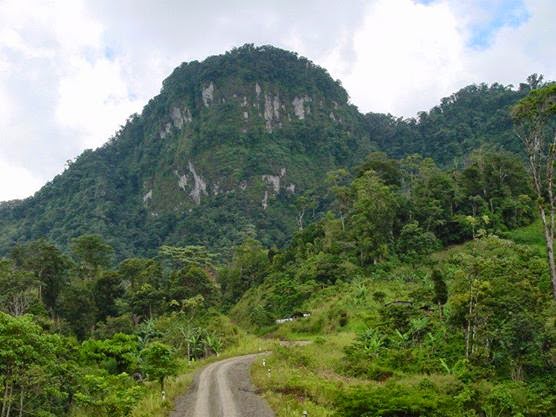 Panóptico: EL CANTO DE BOSAWAS