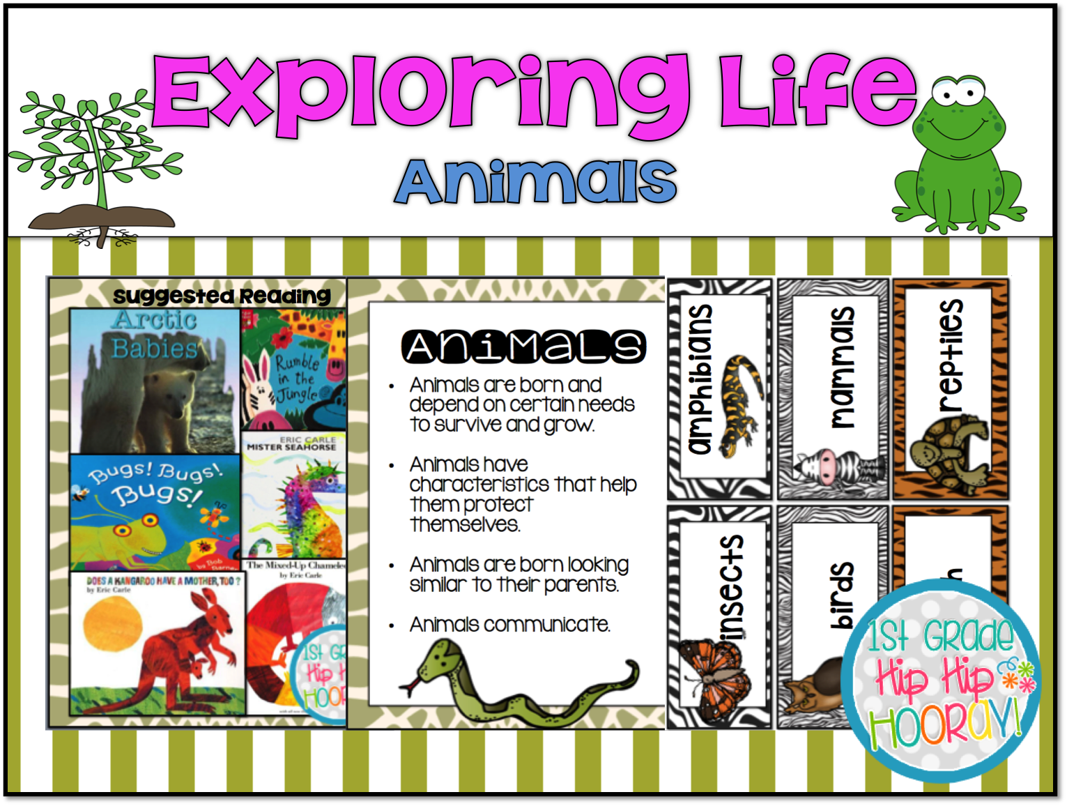 1st Grade Hip Hip Hooray!: Let's Explore LIFE!