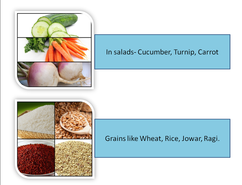 Ayurbeej: Diet & lifestyle as per Ayurveda for summer (Grishma Ritucharya)