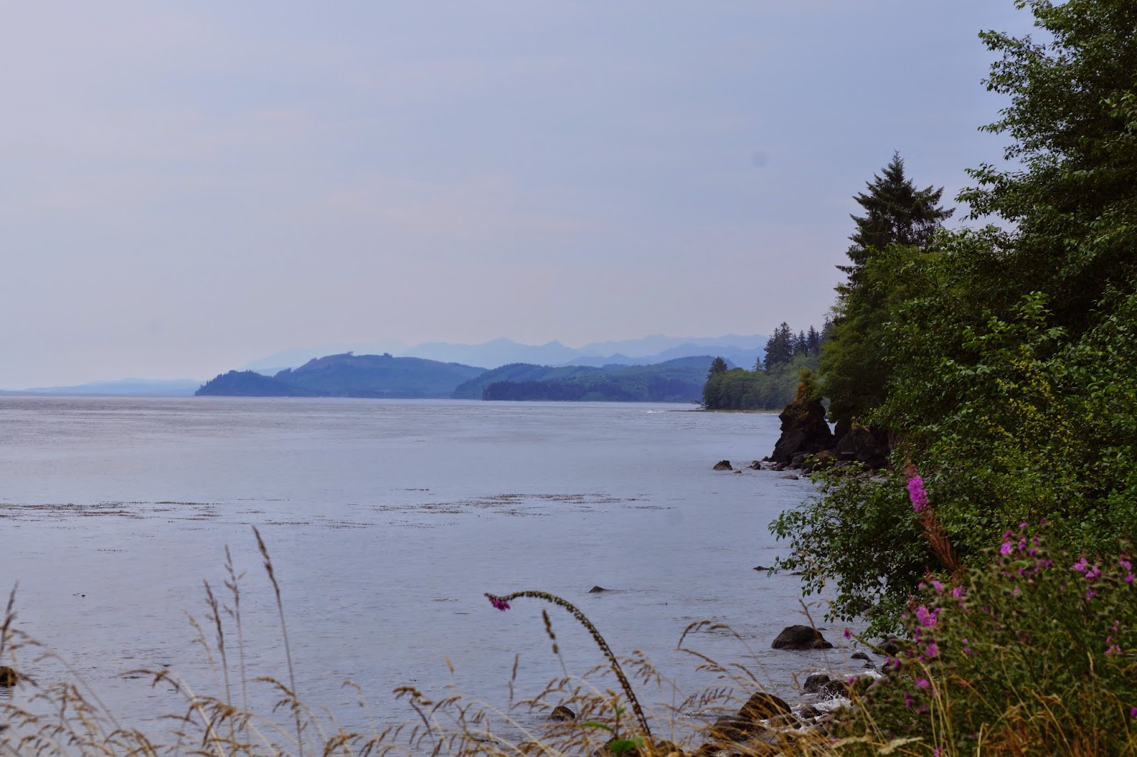The Greenbelt: More of Neah Bay