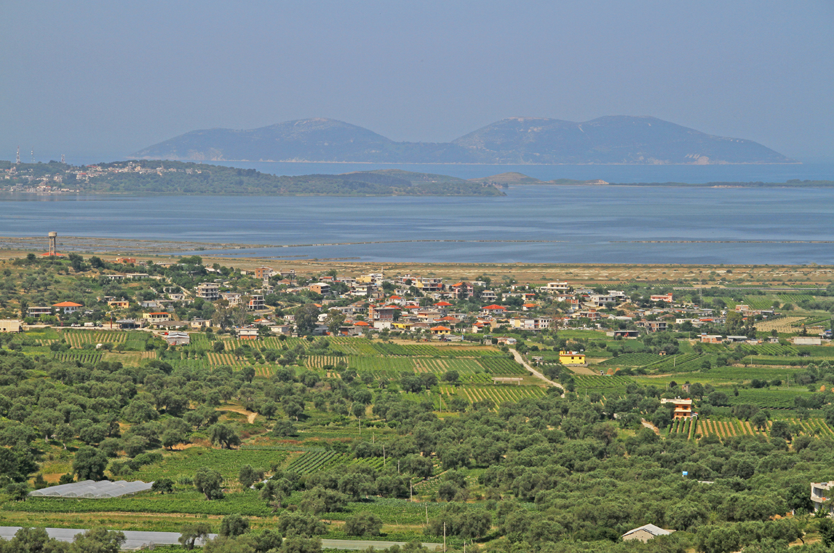 Antiguos OLIVOS del Mediterráneo : ALBANIA. VLORE, PANAJA, HOSHTIMA ...