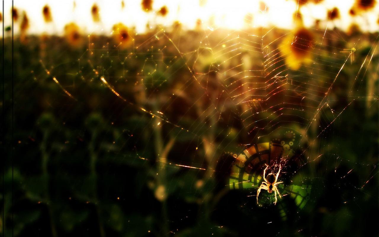 scrippix: Garden of God Herb Co.-Time (Thyme)