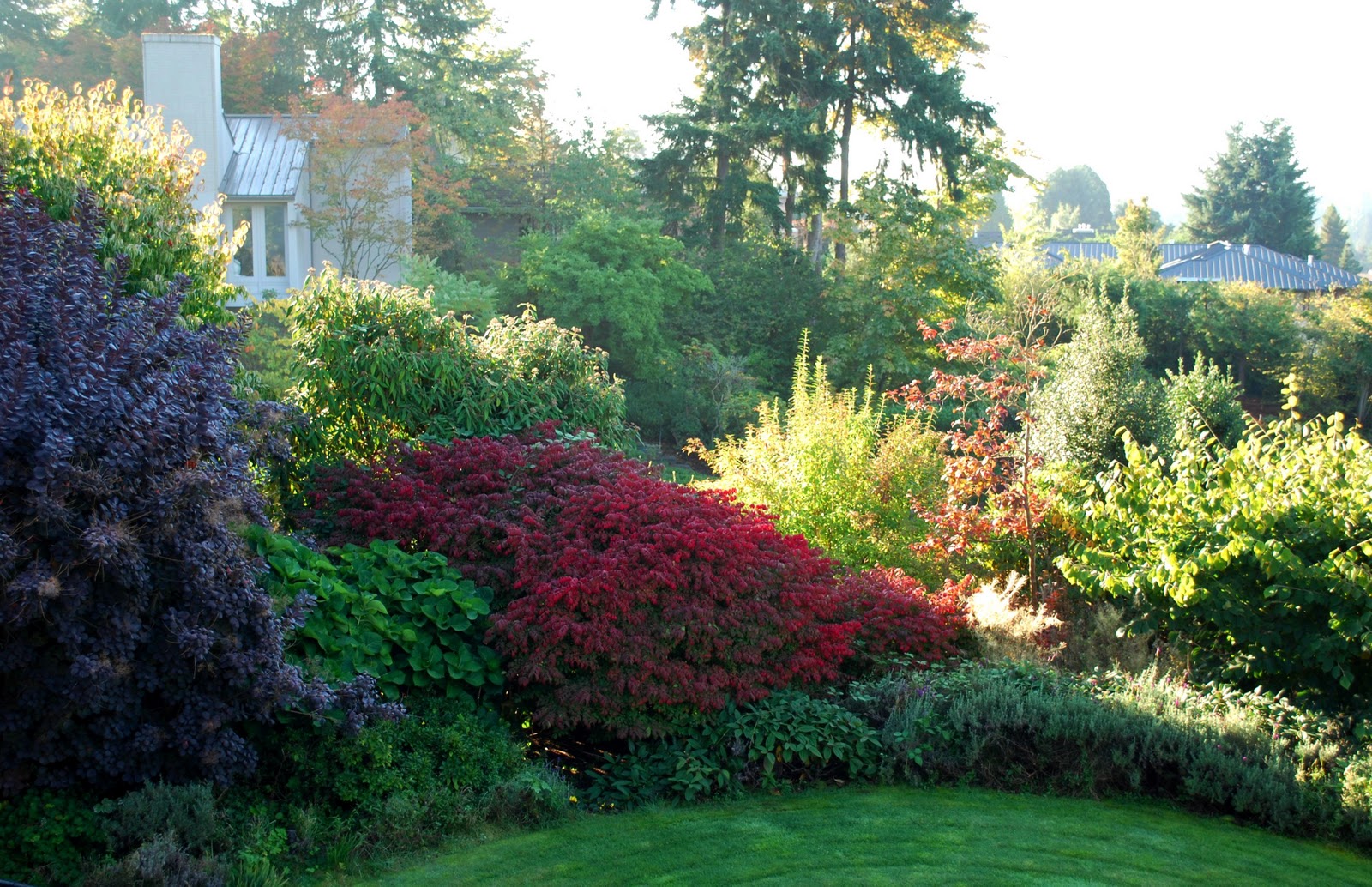 The Intercontinental Gardener: Glowing, blazing, burning