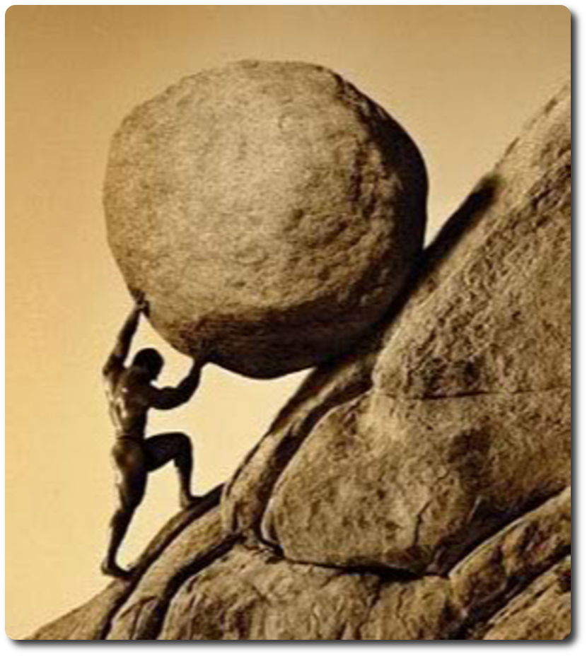 Fly Fishing In Yellowstone National Park: 2014