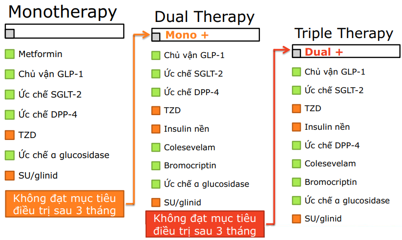 học Y: sử dụng thuốc điều trị đái tháo đường