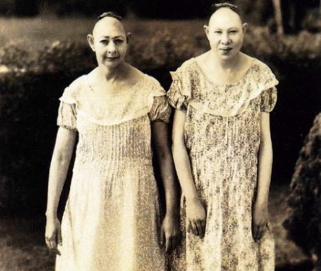 American Horror Story: Freak Show