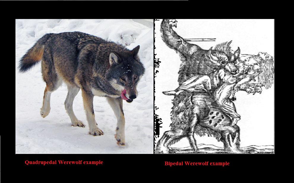 CELTIC PUMPKIN: How do you take your werewolves? Two legs or four?