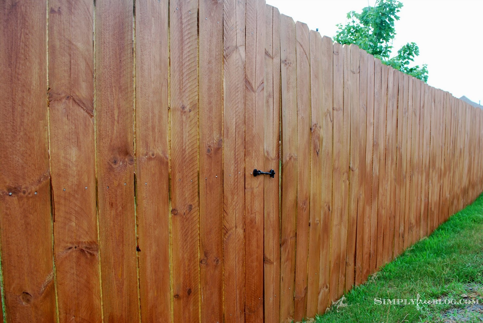 Fencing in the Yard - Simply Elliott