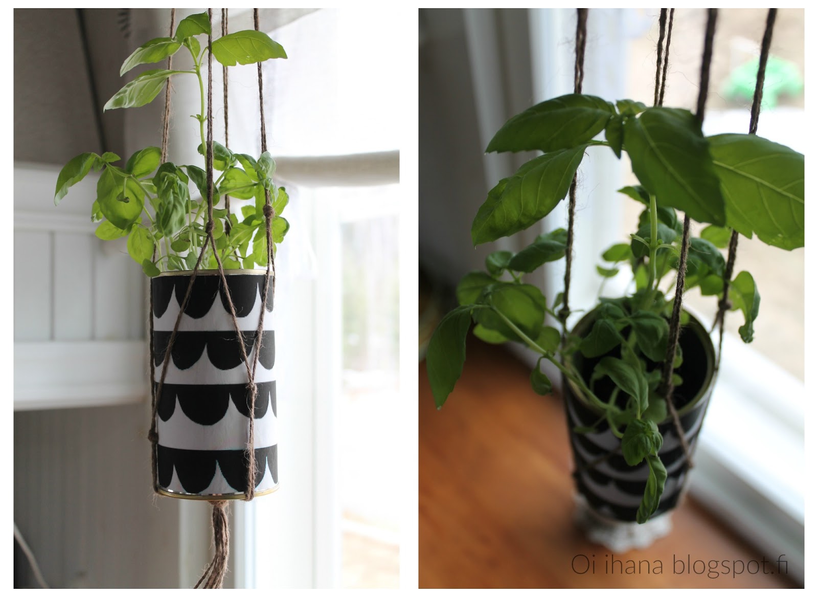 Oi ihana: DIY AMPPELI