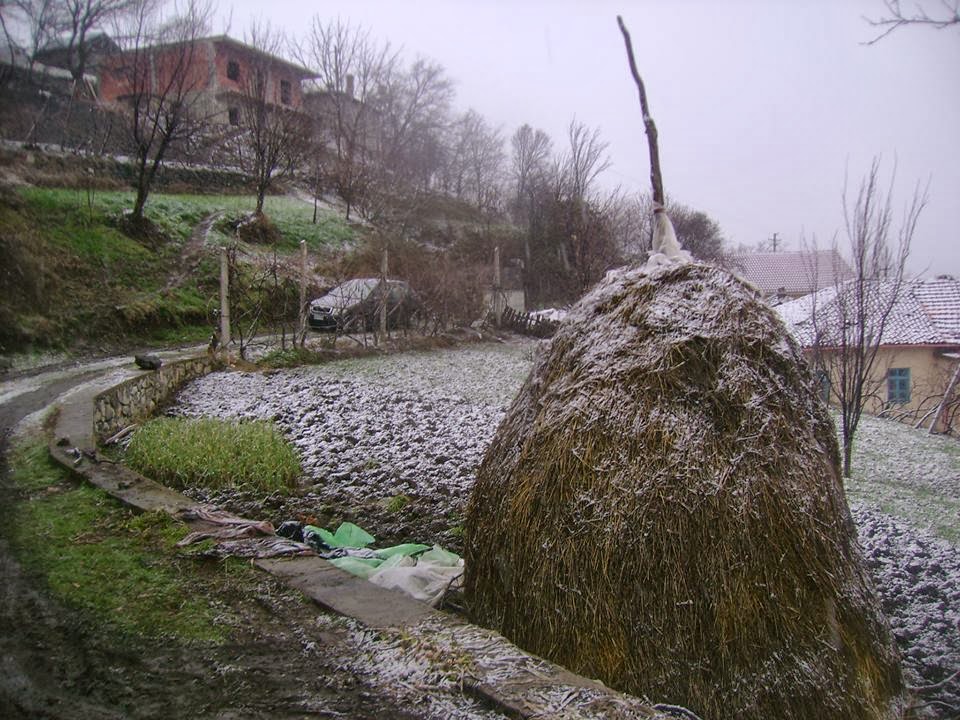 RRAJCA JONE: BUKURITE NATYRORE