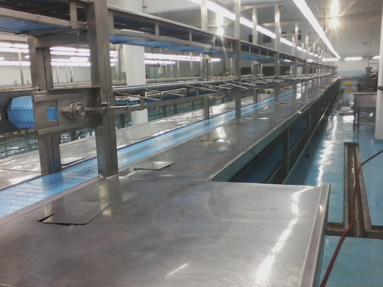 Tuna Production Line Processing to Make Canned Tuna - Frozen Tuna Fish ...