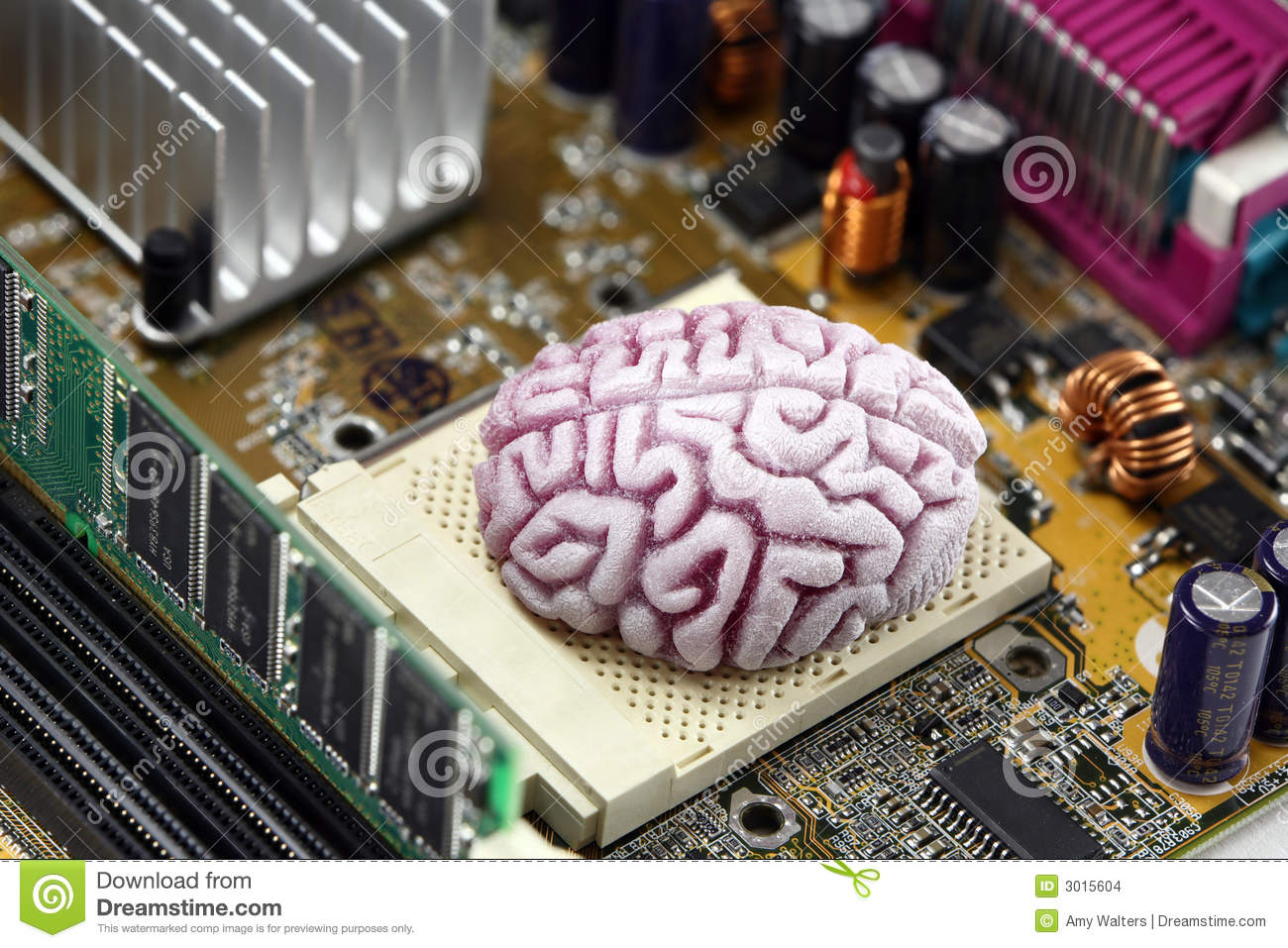 HARDWARE: UNIDAD CENTRAL DE PROCESO (CPU) / PLACA PRINCIPAL, PLACA ...