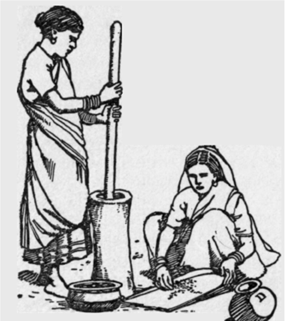 Dr. Mohan's Diabetes Specialities Centre: HEALTH BENEFITS OF BROWN RICE