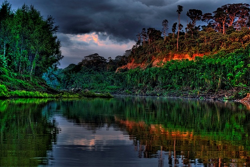 The Best Travelling: Amazon Jungle, The Rainforest Homes