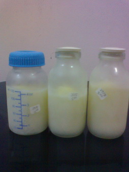 Cara Menyimpan Asi Perah Dengan Tepat - Terbarutau