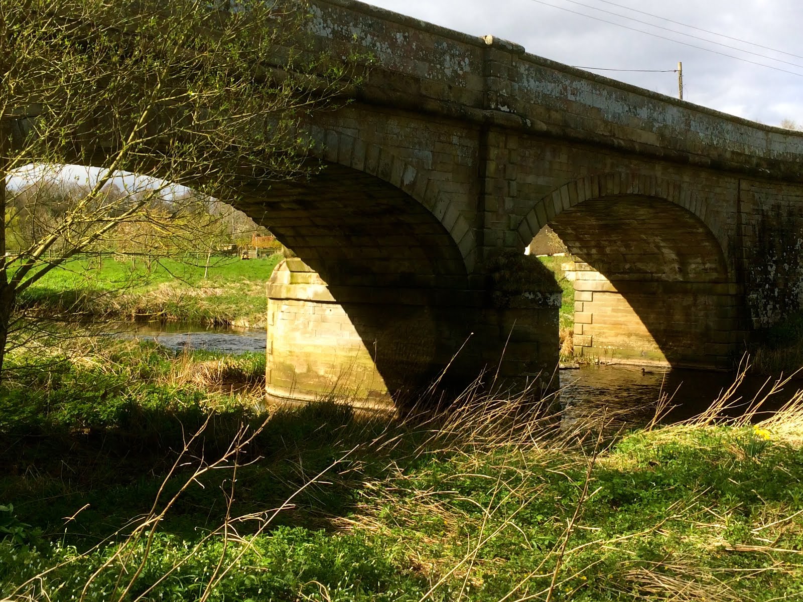 Days out in the Borders : Allanton Bridge