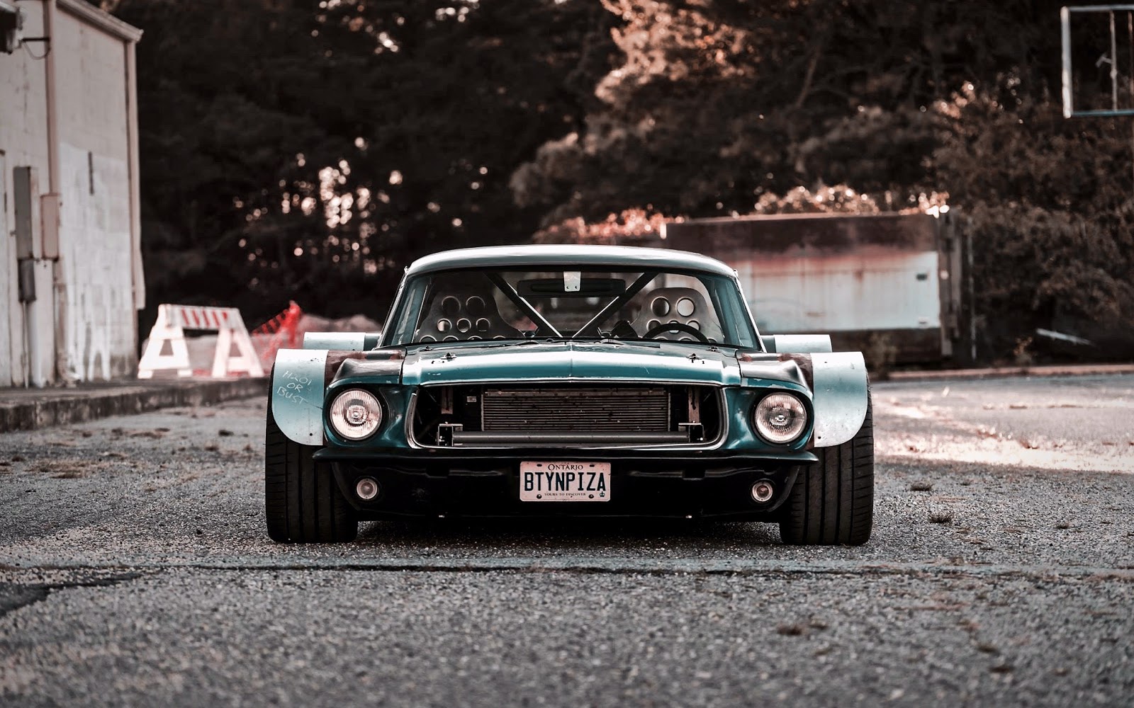 Mustang V8 - Inazuma café racer