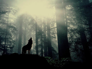 Mosaico de Retazos: Lobos