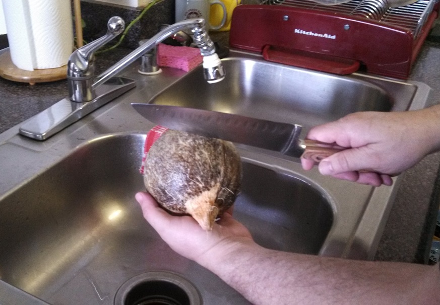 Tano' Hu I Islan Guahan: The Coconut - Cracking and Grating