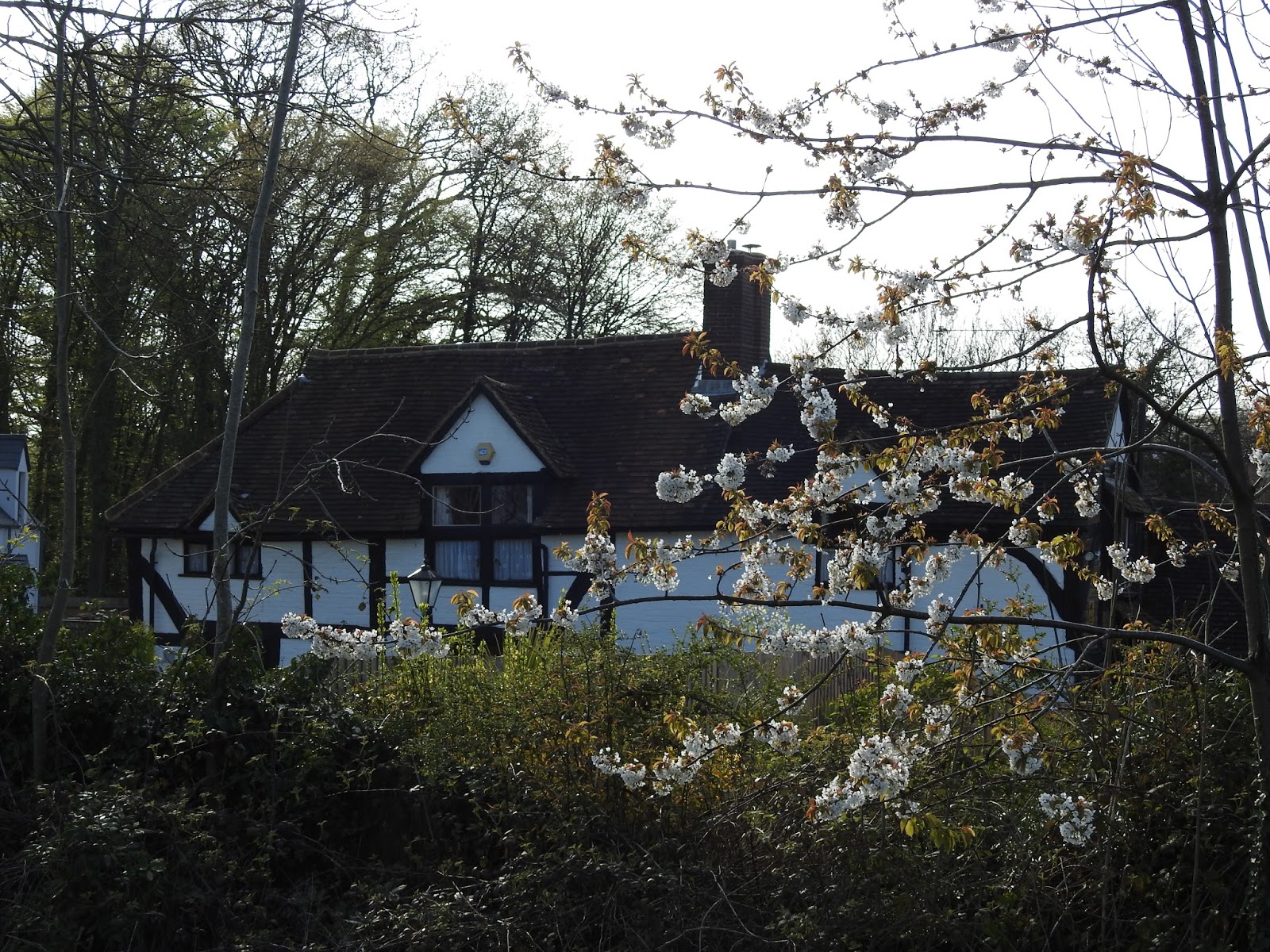 Crawley Old Town: SEVEN PICTURES: Mill House (Ifield)