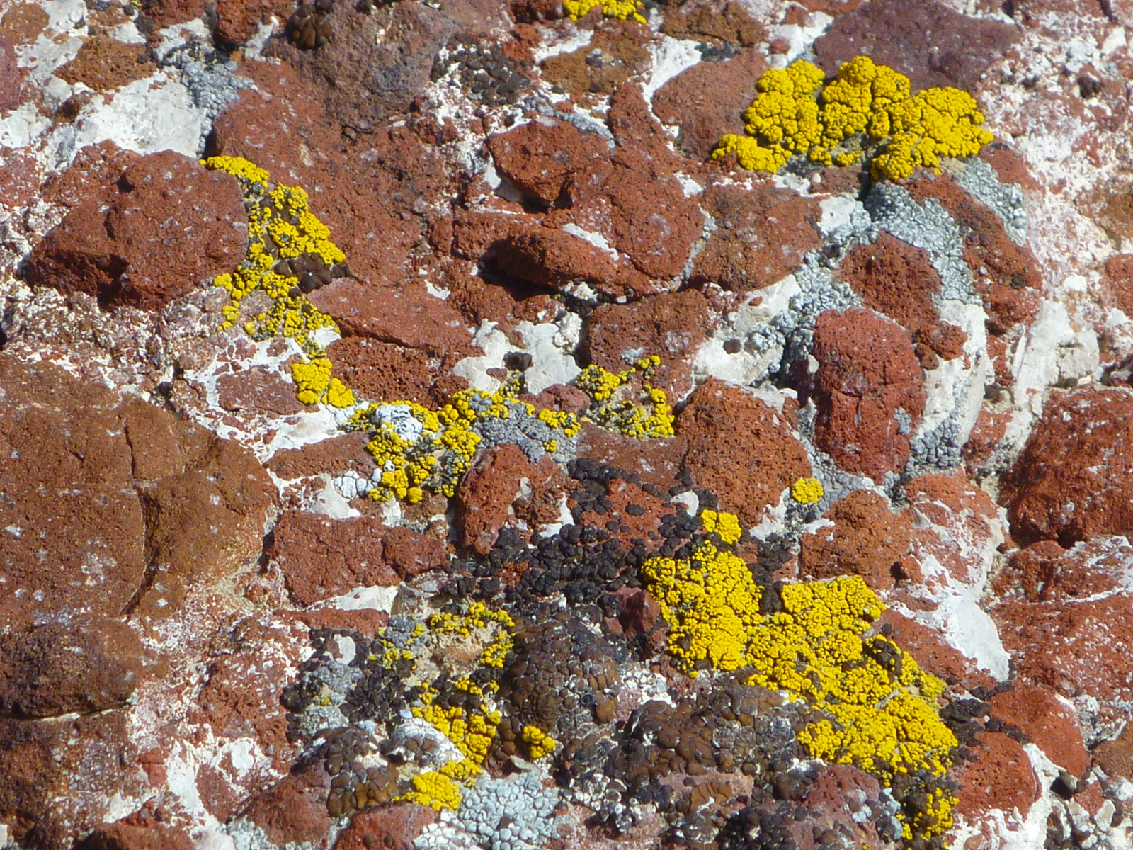 Trailing Ahead: Hidden Cave Tours and Trails east of Fallon, Nevada