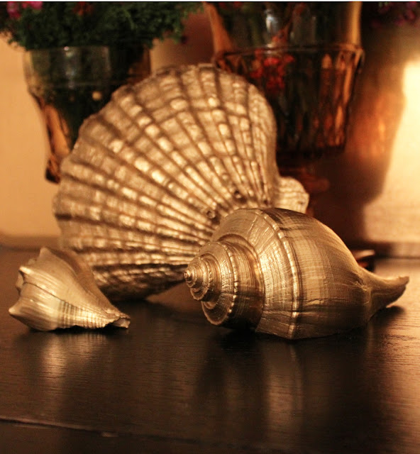 DIY Gold Gilded Sea Shells - www.danettedillon.com