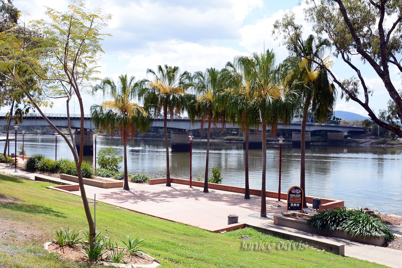 thoughts & happenings: Fitzroy River, Rockhampton, Queensland.