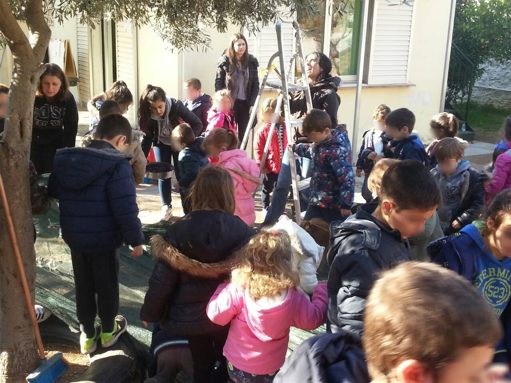 Παπαδάκειο Νηπιαγωγείο Γλυφάδας: 2017