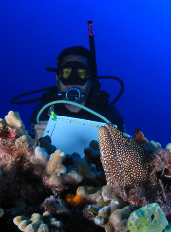 Waikīkī Aquarium: Blog 4 - Maro Reef