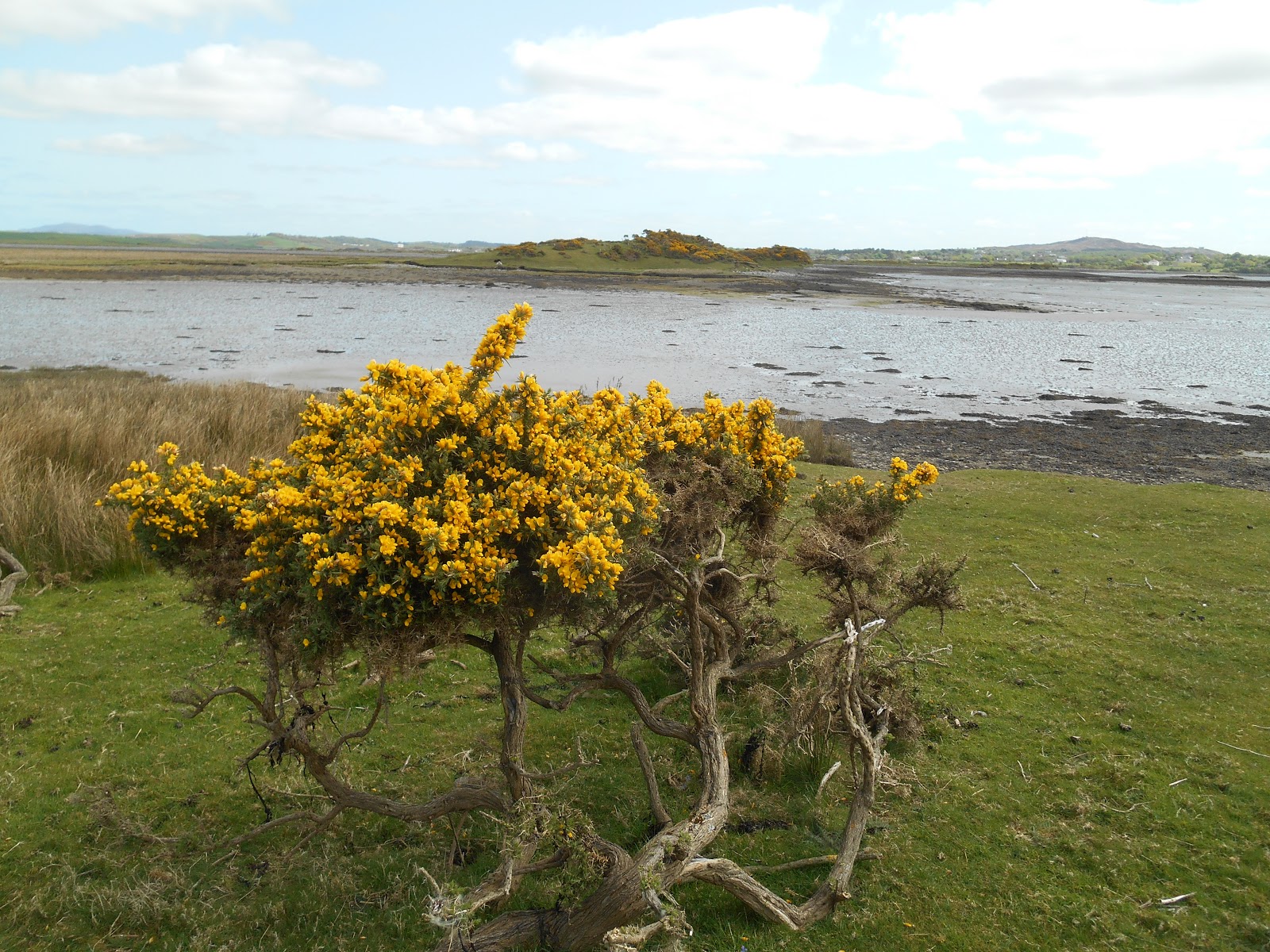 A lifetime of Islands: Island 418 - Annagh Island West, County Mayo