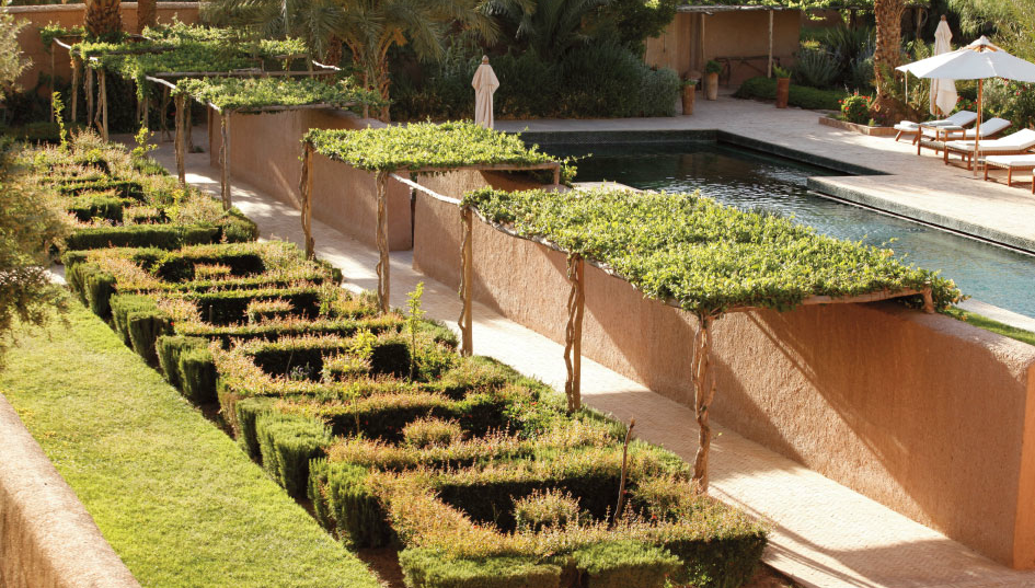 louis benech | French garden, Landscape design, Hanging plants outdoor