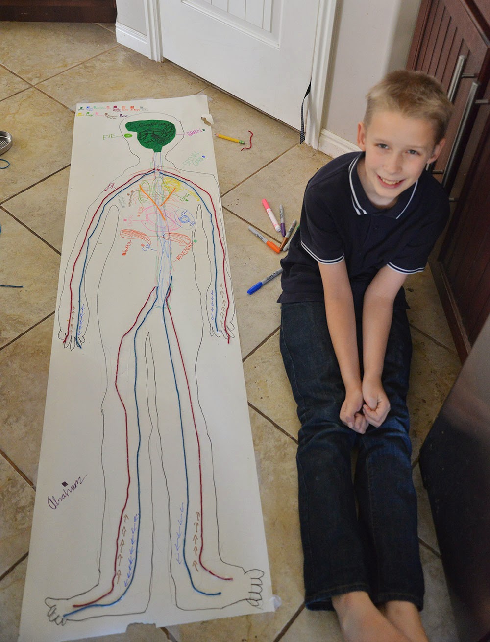 A school of fish: Motor and Sensory Neurons Body Tracing; Reflexes