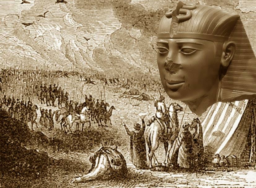 Historia, faro del presente. : LA HISTORIA OCULTA DE GAZA (3)