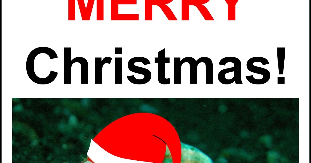 Real Monstrosities: Merry Christmas!