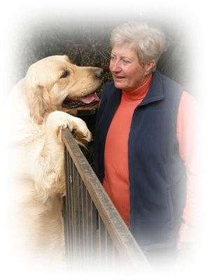 The Adventures of Maxdog in South Africa