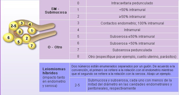 SISTEMA DE CLASIFICACION FIGO: CAUSAS ESTRUCTURALES
