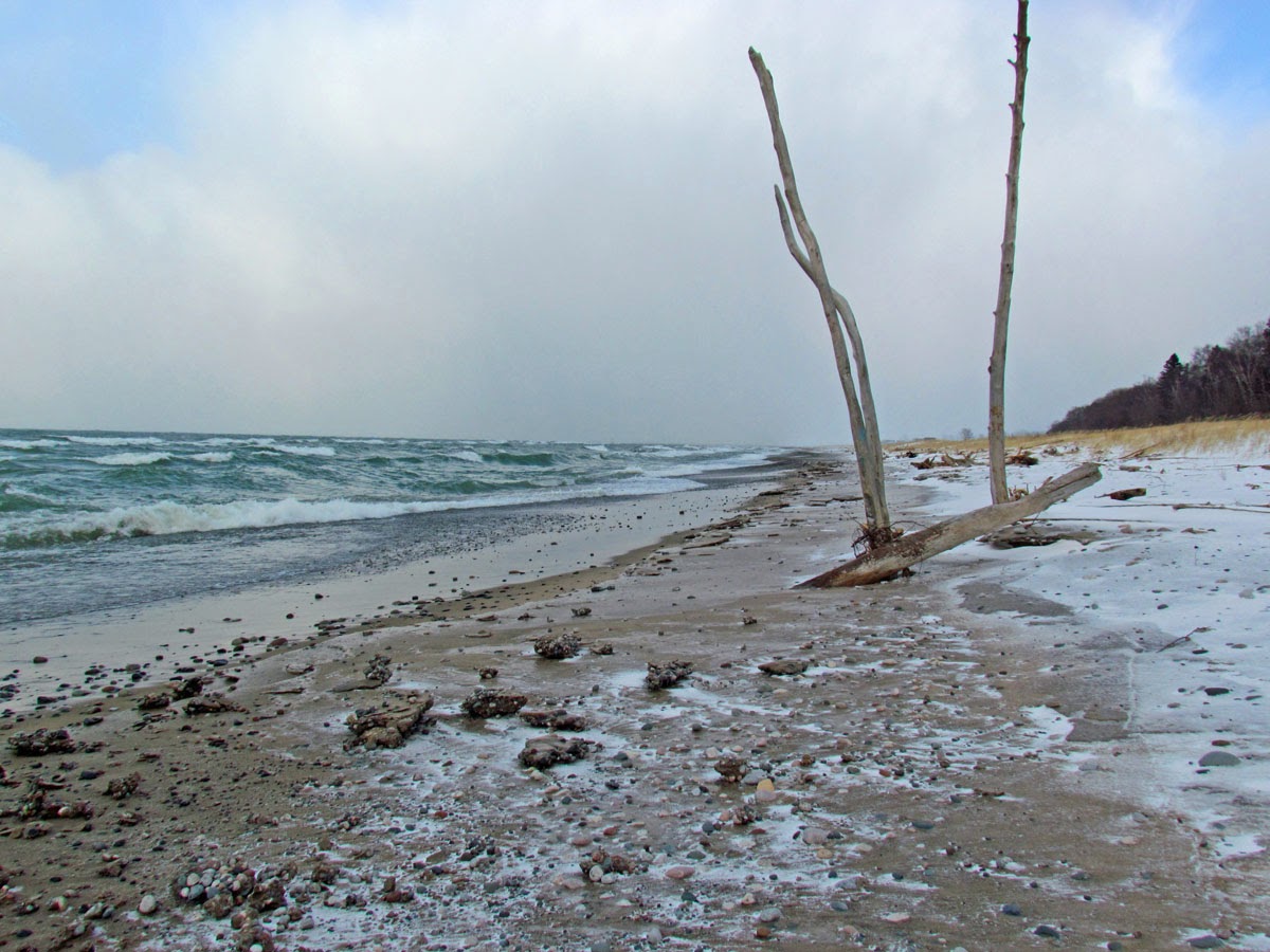 The Agatelady: Adventures and Events: Winter Beach Walk
