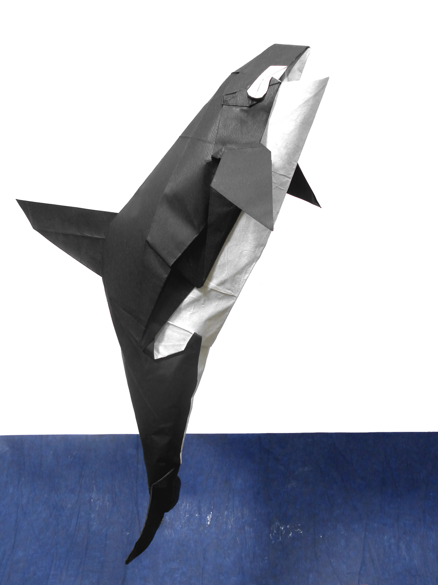Mariano-Mi mundo el Origami: Orca