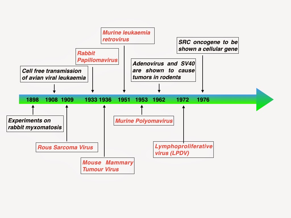 Virology tidbits: Human cancers and viruses: 50 years of Epstein Barr Virus