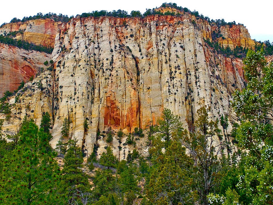 Always On Watch: Semper Vigilans: Base Jumping