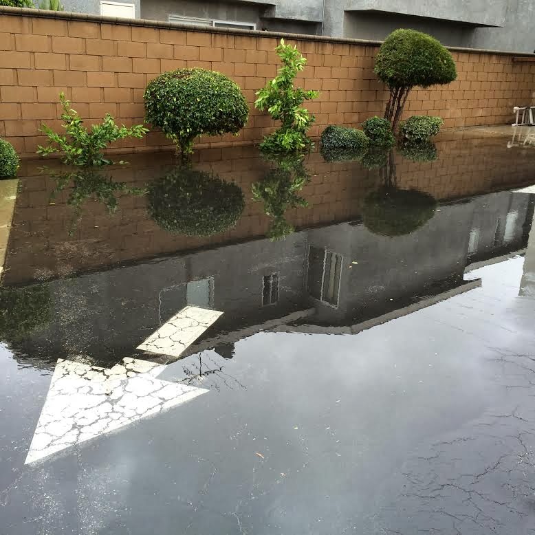 Movie Review and Interview with Ray Comfort on 'Noah': the Biblically ...