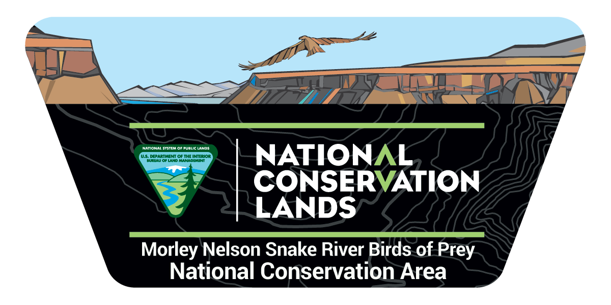 Stueby's Outdoor Journal: The Morley Nelson Snake River Birds of Prey ...
