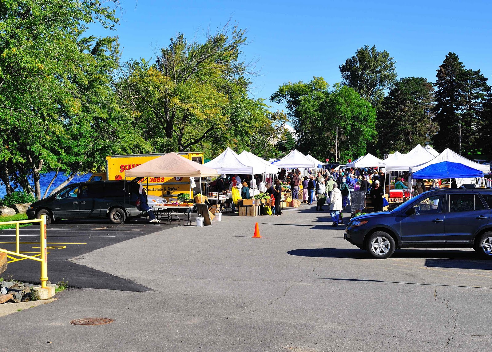 INORONO: Kid Friendly, Dog Friendly, Heart Friendly - The Orono Farmer ...