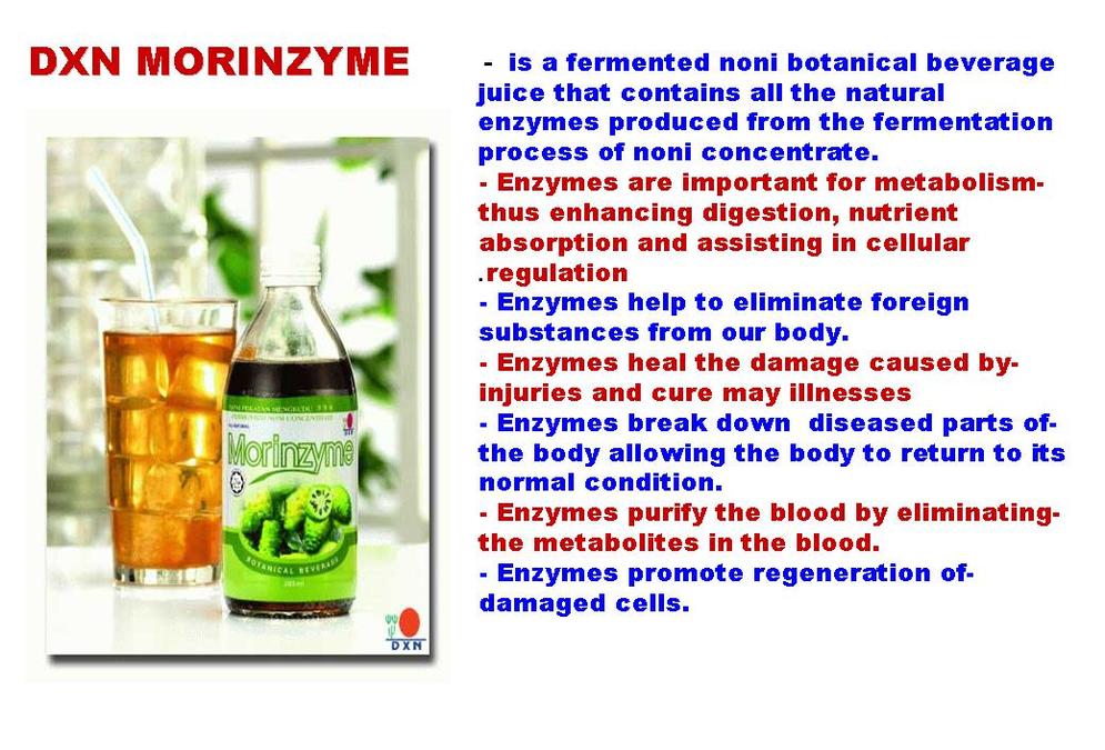 DXN Morinzhi and Morinzyme ~ dxnusa