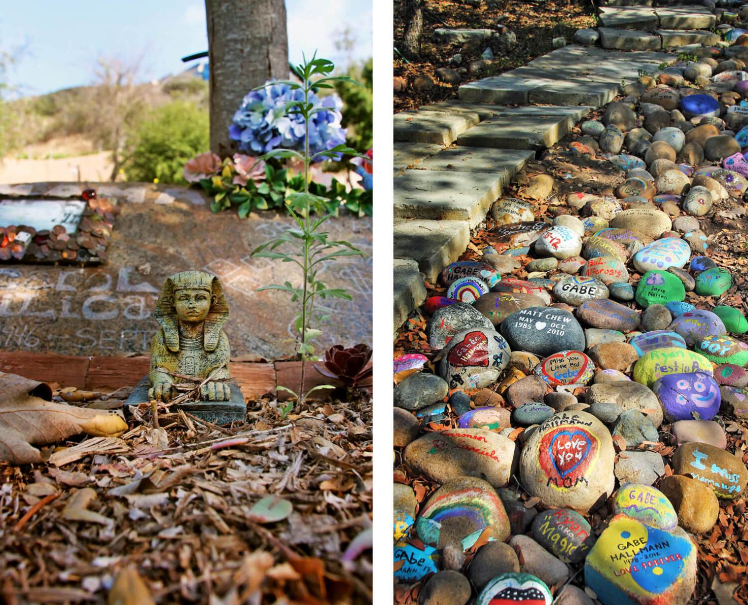 Criminal Misconduct: The 1986 Murder of Cara Knott