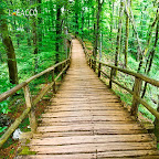 예스카지노→％〔https://pauio.com/yesci/〕％←YES카지노 COIN카지노 코인카지노