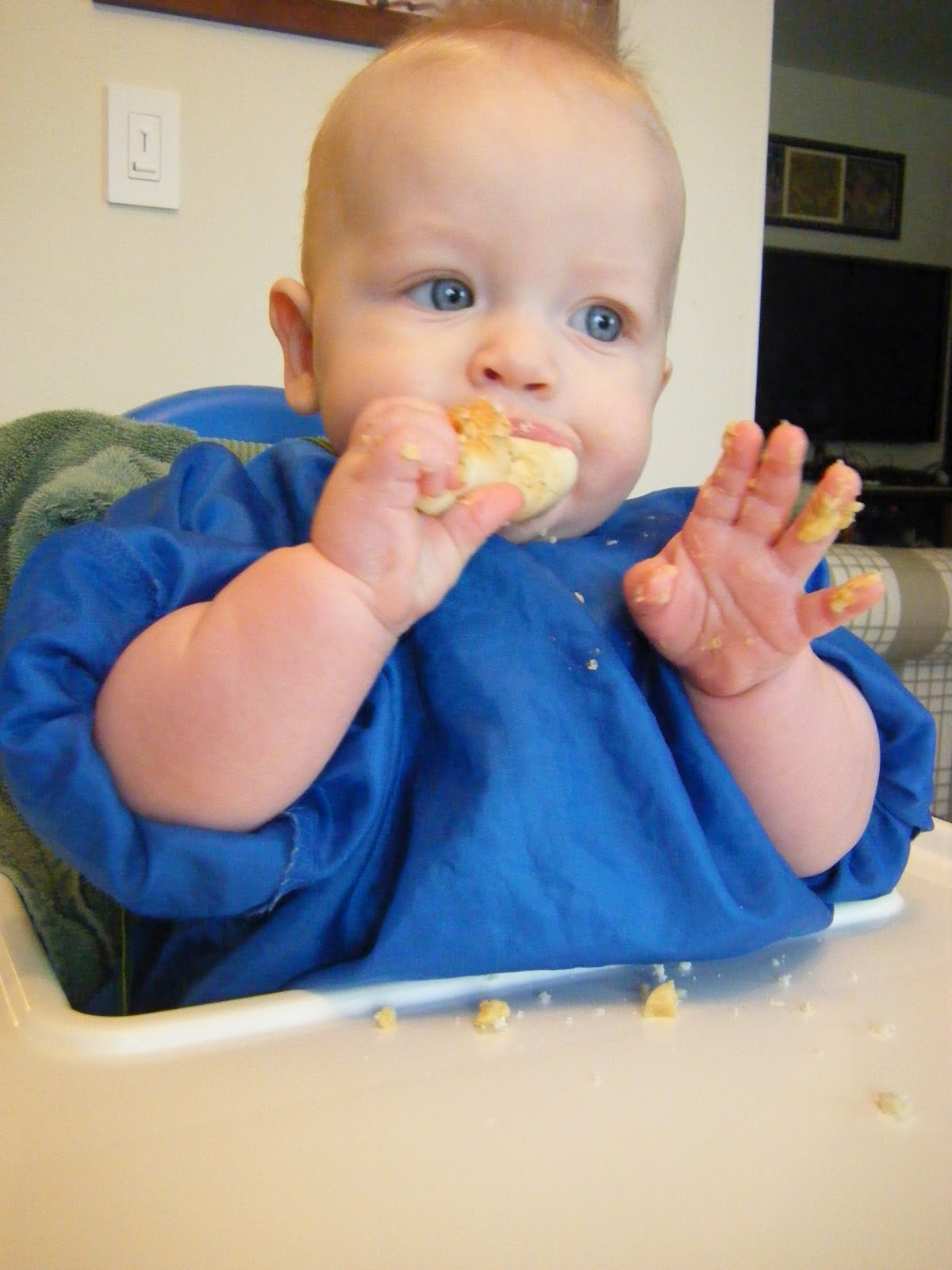 Kapora's Journey: A Bubba Approved Recipe: Homemade Pita Bread and Hummus